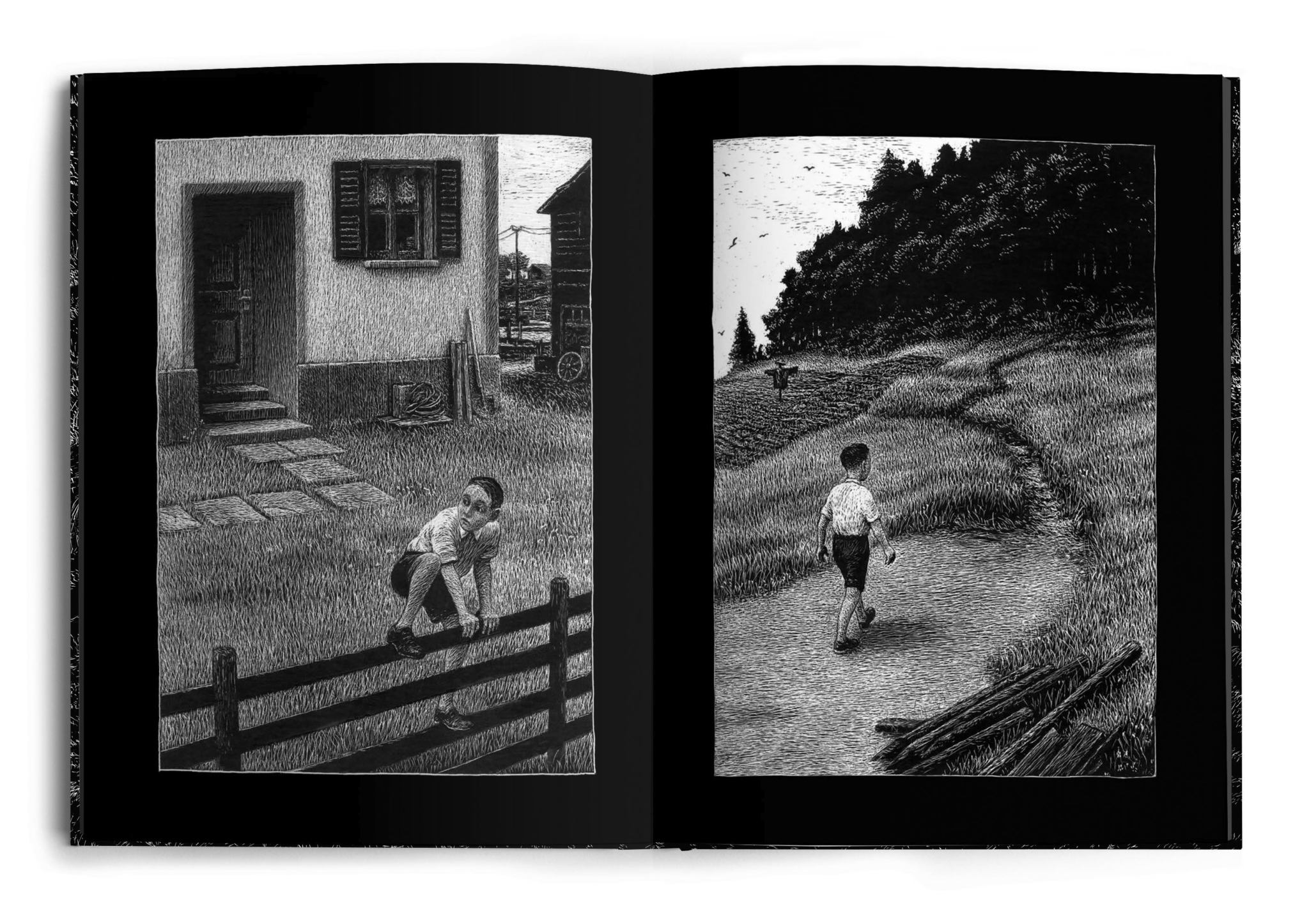 Les Editions Martin de Halleux - Thomas Ott - La Forêt - Les Éditions ...